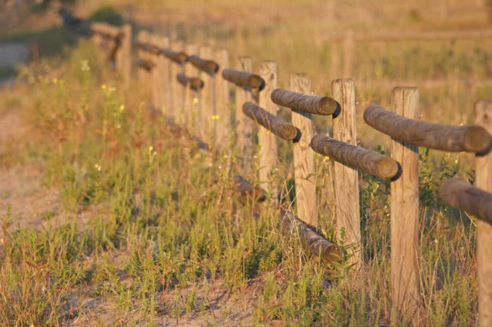 Wood Fences | Big Country Fencing
